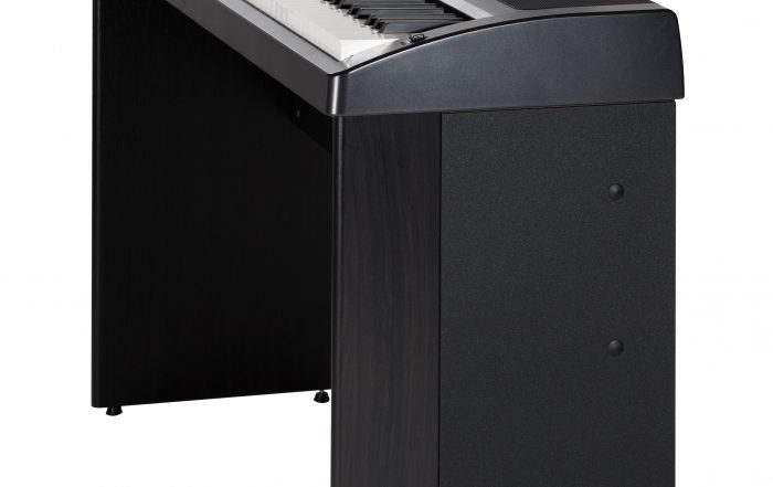 MPS20 - KURZWEIL It's the Sound®